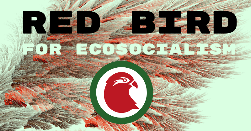 Red Bird bulletin – rs21 – revolutionary socialism in the 21st century