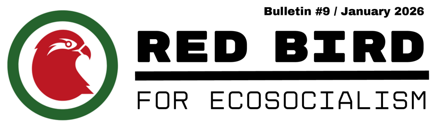 Red Bird #9 | Where is the climate movement? – rs21 – revolutionary ...